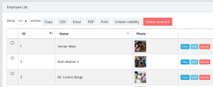 Laravel AJAX Datatables: Multi-Rows Cells with Images – Quick Admin Panel